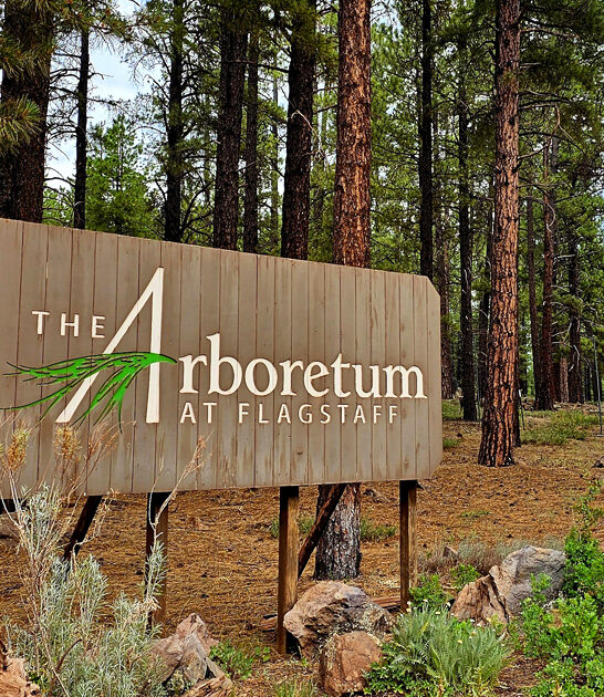 arizona peaceful tree grove ftr