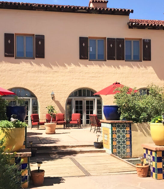 arizona stuffed squash blossoms ftr