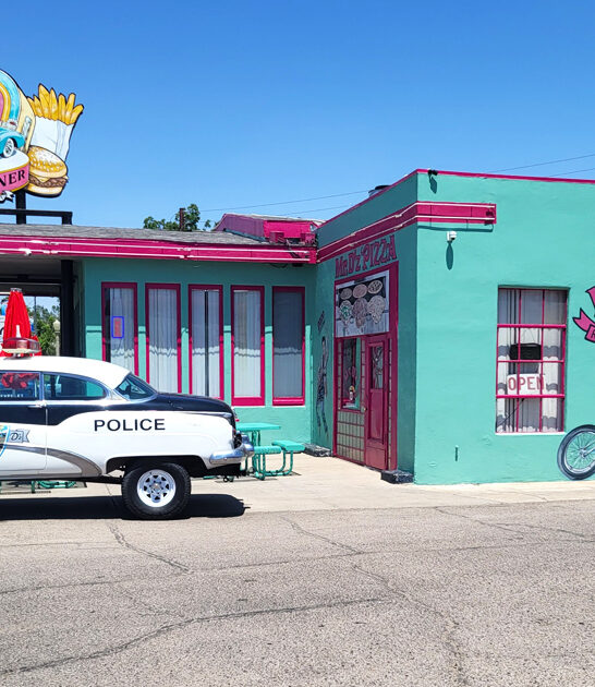 arizona vintage americana diner ftr