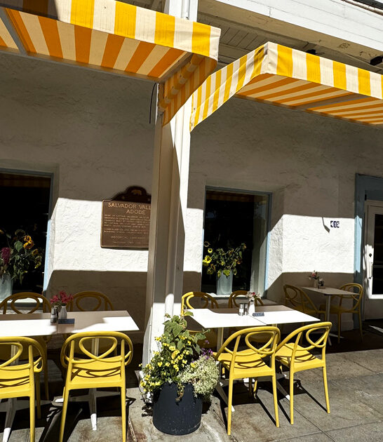 avocado toast cafe california ftr