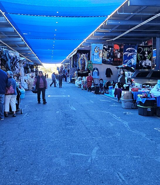 awesome bargain finds arizona ftr