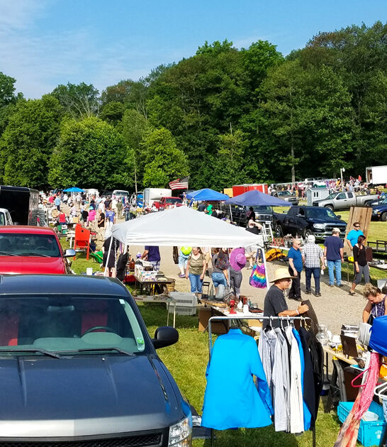 bargain flea market michigan ftr