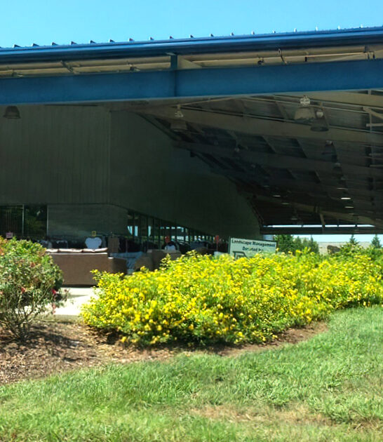 bargain furniture north carolina ftr