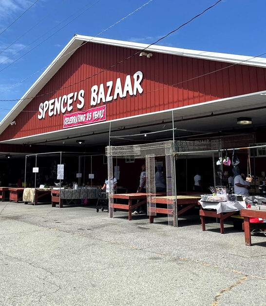 bargain hunter delaware paradise ftr