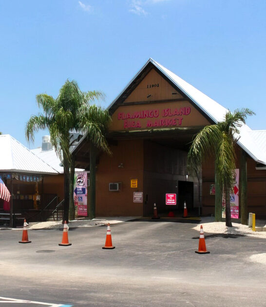 bargain hunter florida destination ftr