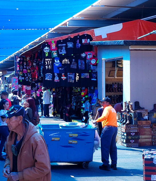bargain hunter picks arizona ftr