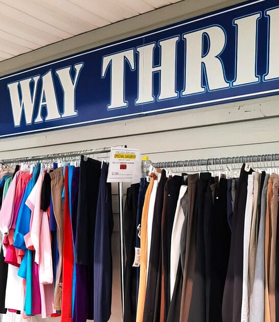 bargain hunters delaware thrift ftr