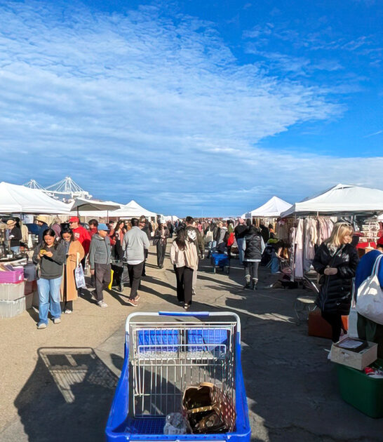 bargain hunters joy california ftr