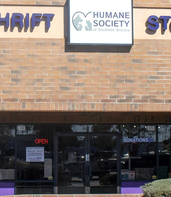 bargain paradise arizona thrift ftr