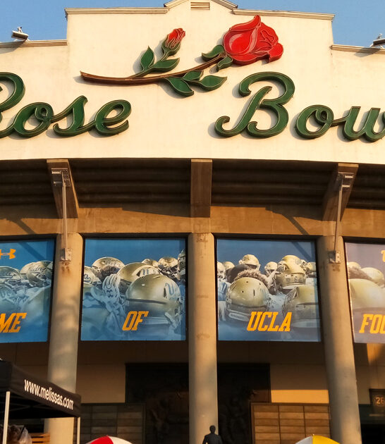 bargain shopping spots california ftr