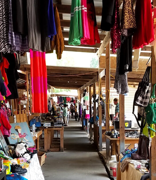 bargain vendor paradise georgia ftr