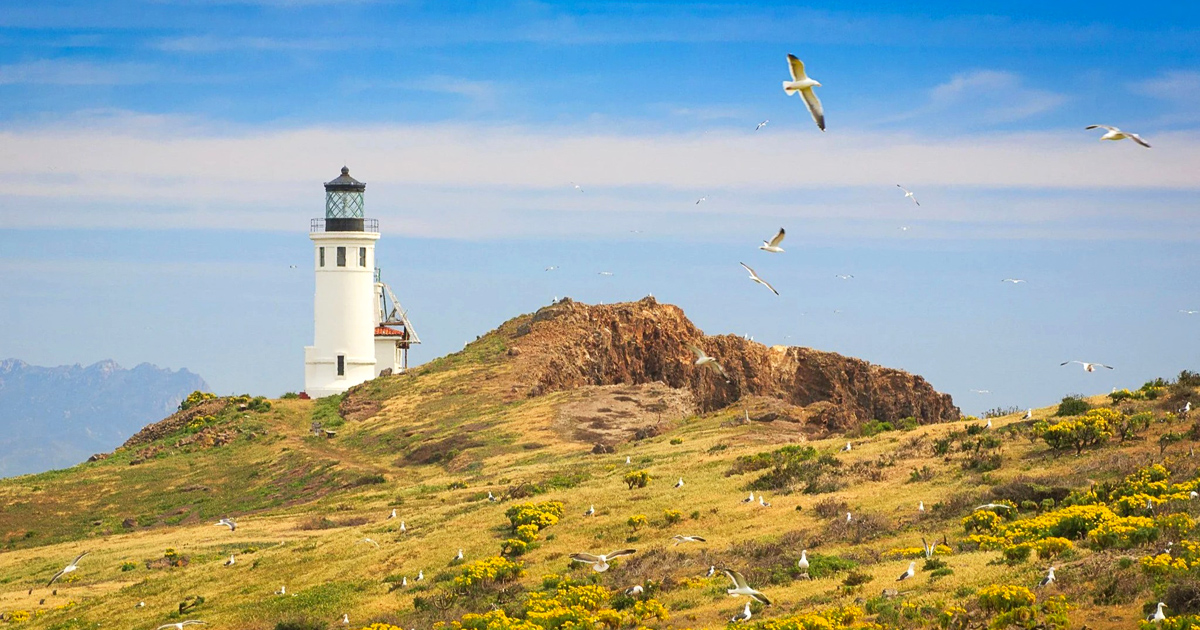 This Stunning Lighthouse In California Looks Like It's Straight Out Of ...