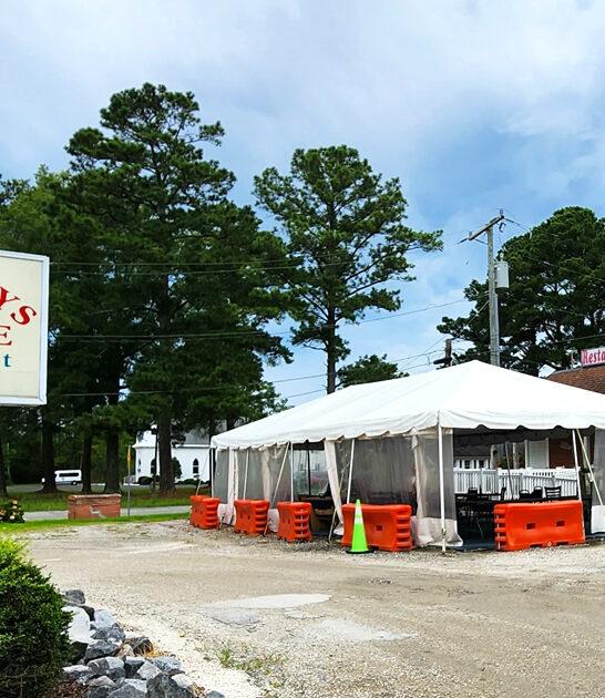 beloved blue crabs virginia ftr