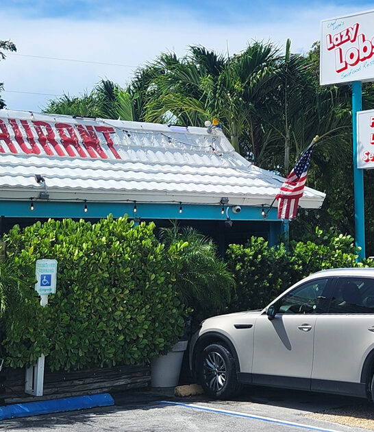 beloved fritters delicious florida ftr