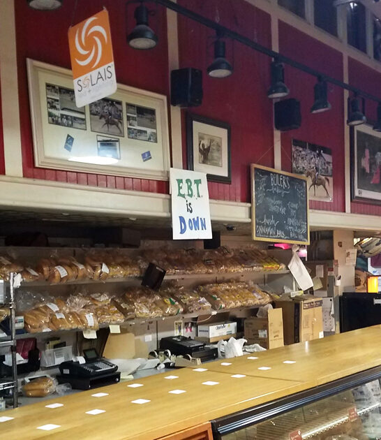 best apple fritters pennsylvania ftr