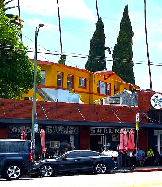 best biscuits california cafe ftr