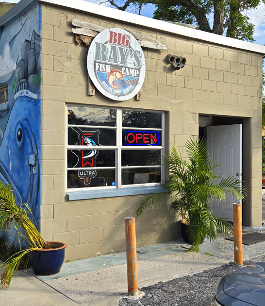 best conch fritters florida ftr