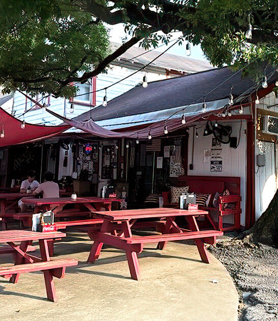 best curly fries texas ftr