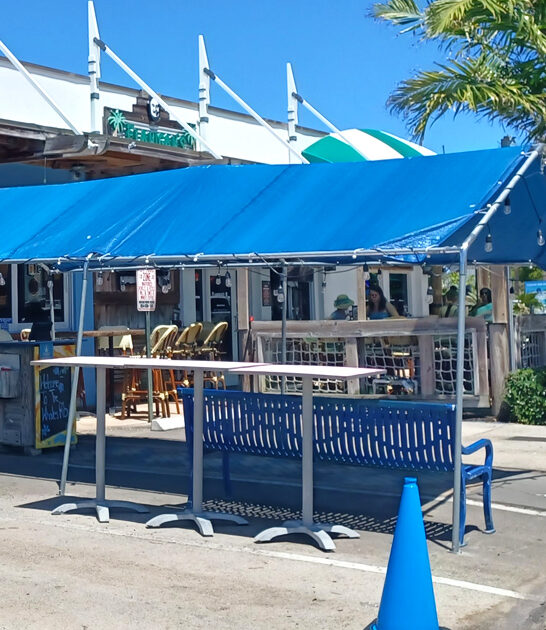 best florida dolphin sandwich ftr