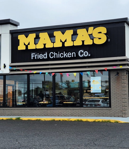 best fried catfish virginia ftr