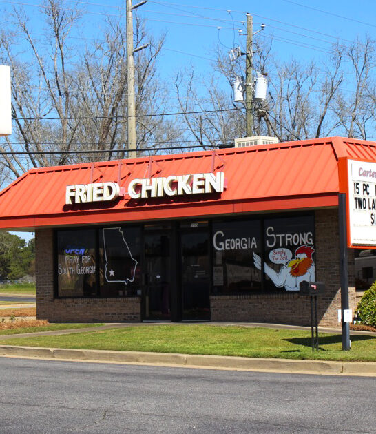 best gizzard georgia restaurant ftr