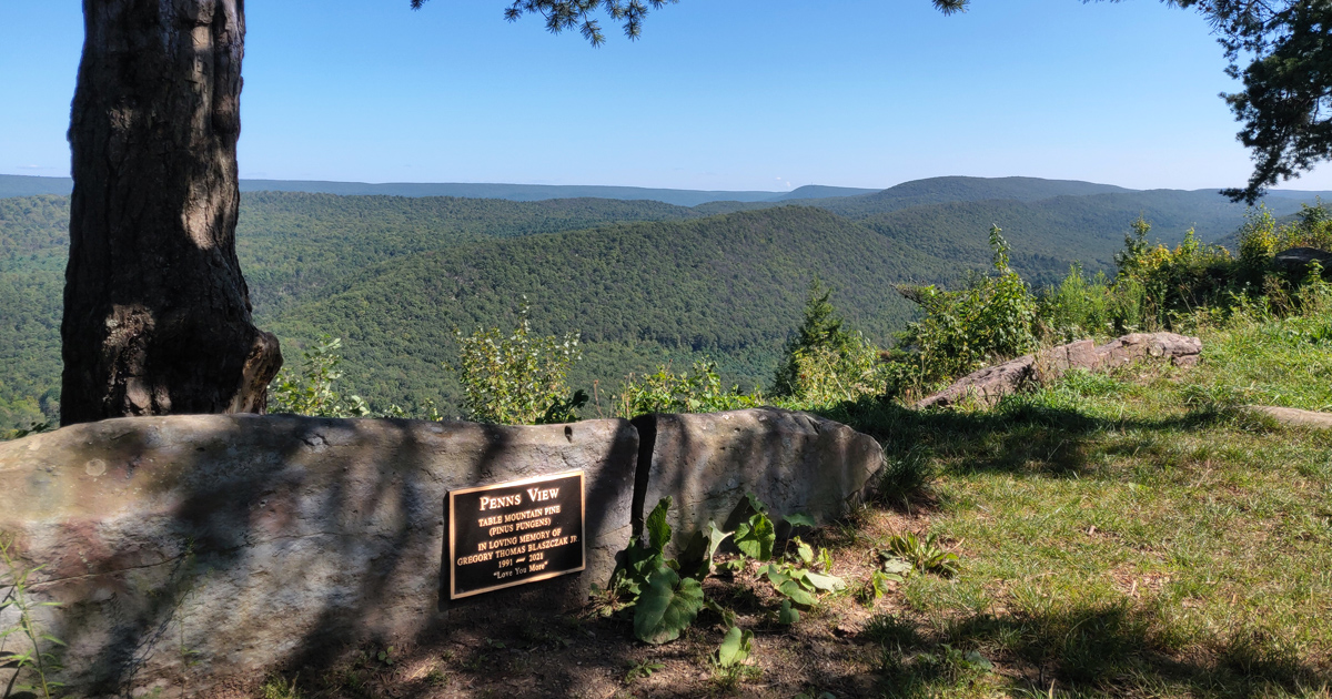 The Gorgeous Overlook In Pennsylvania That's Almost Too Beautiful To Be ...