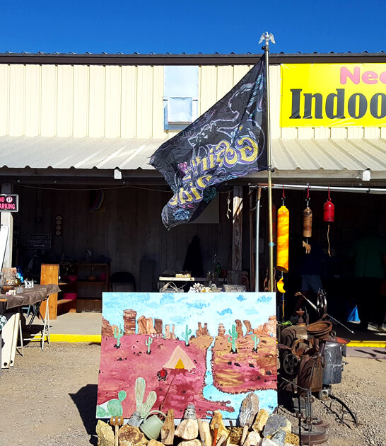 best shopping deals arizona ftr