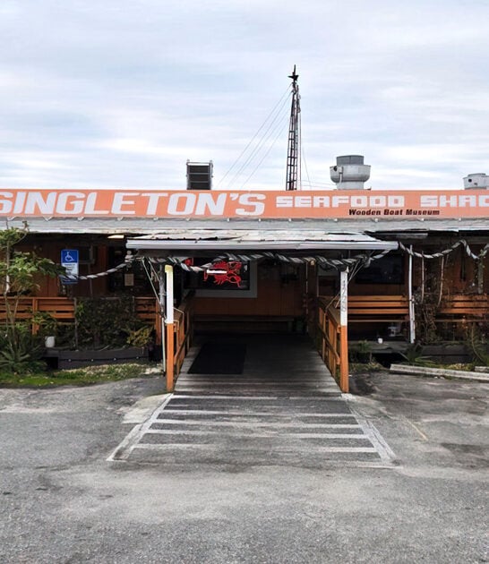 best trigger fish florida ftr