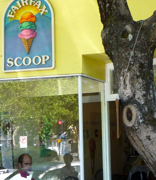 best vanilla lavender california ftr