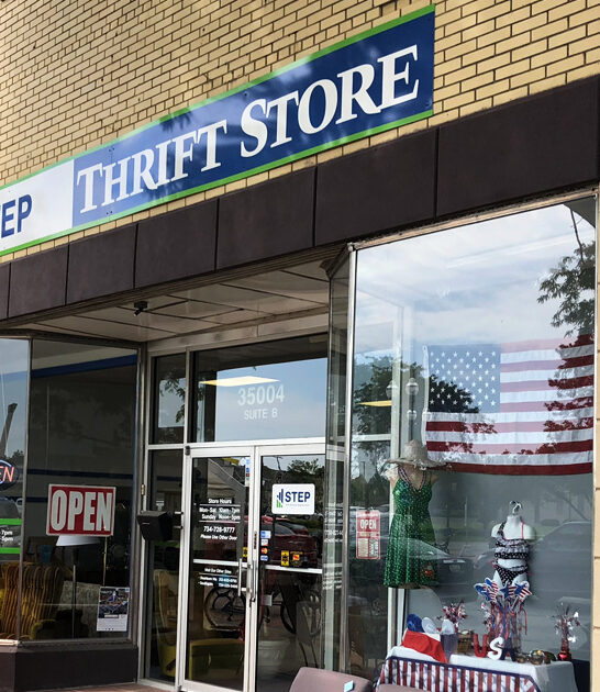 biggest bargains michigan thrift ftr