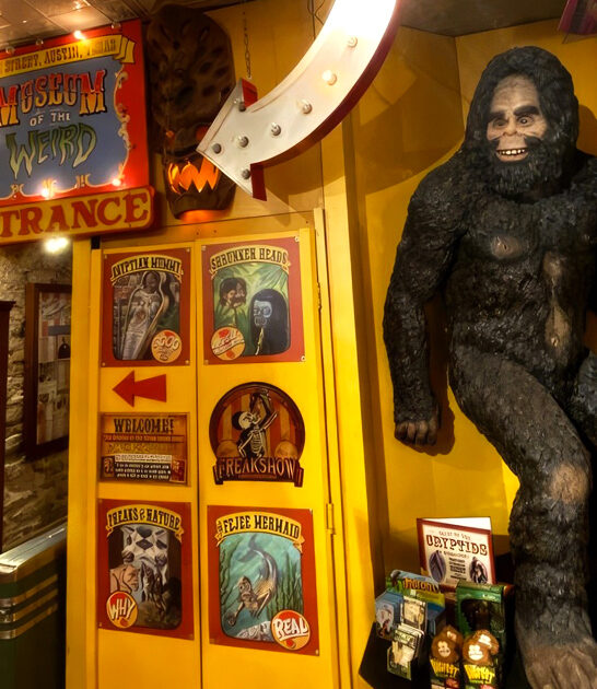 bizarre macabre museum texas ftr