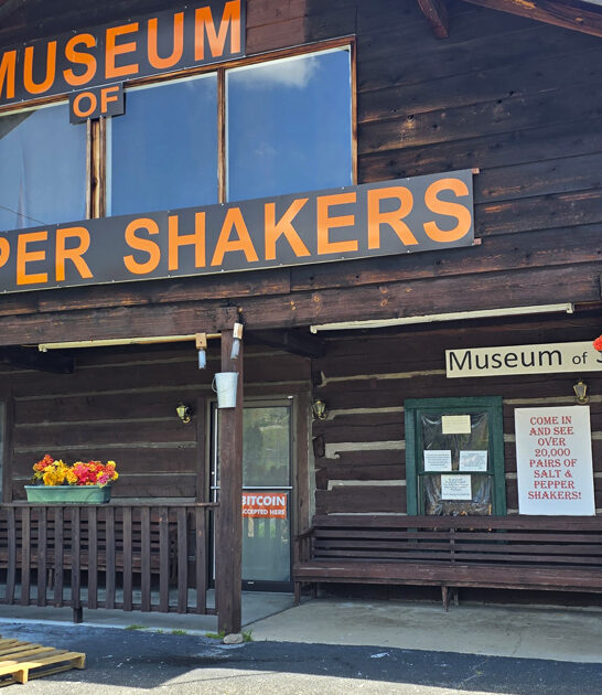 bizarre salt museum tennessee ftr