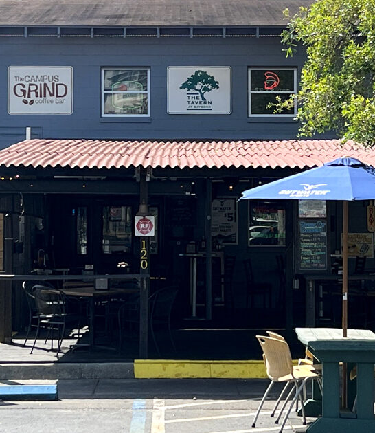 blackened mahi tavern florida ftr