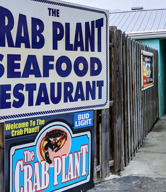 blue crabs seafood florida ftr