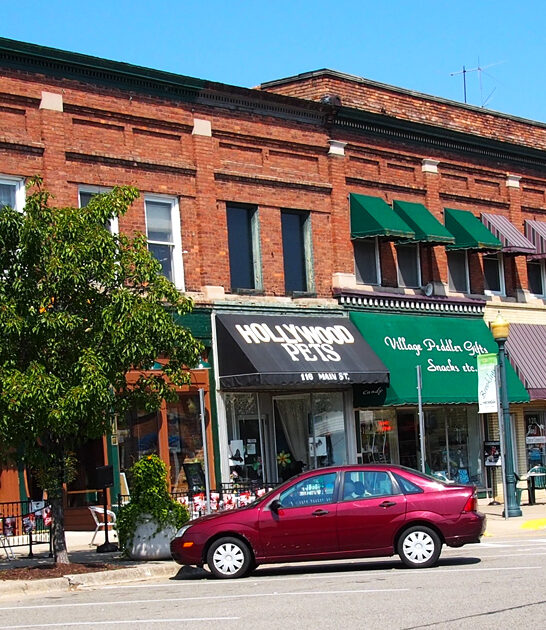 book lover town michigan ftr
