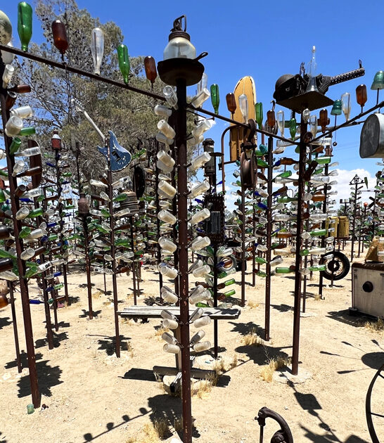 bottle tree ranch california ftr