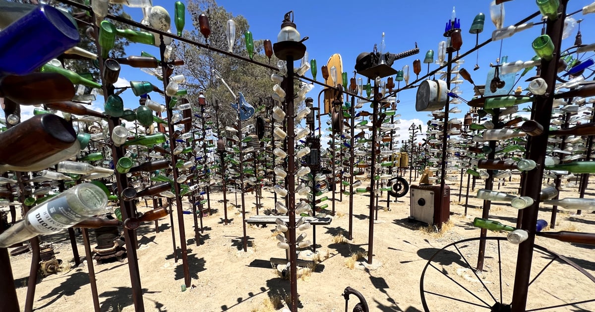 This Bottle Tree Ranch In California Is Exactly As Wonderfully Weird As ...
