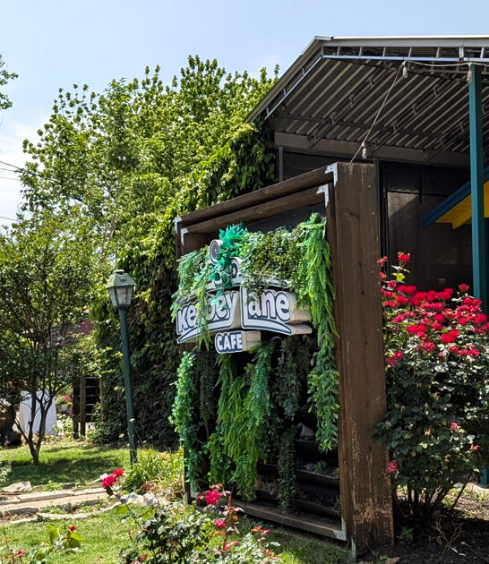 breakfast tacos cafe texas ftr