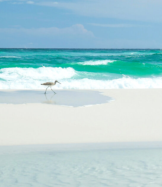 breath stunning florida beach ftr