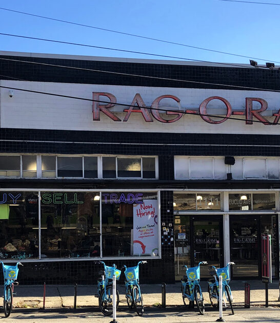 budget shopping store georgia ftr