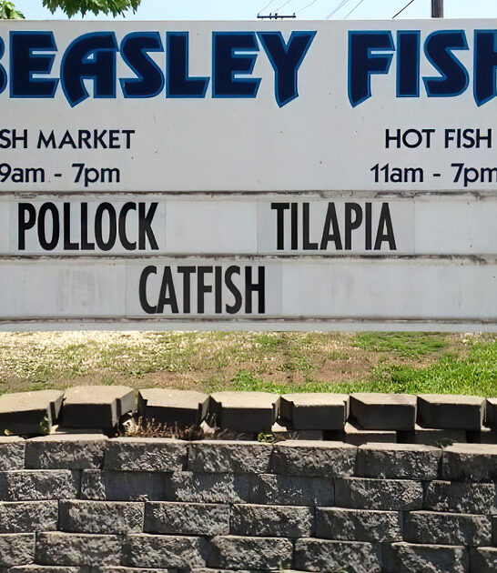 buffalo fish cravings illinois ftr