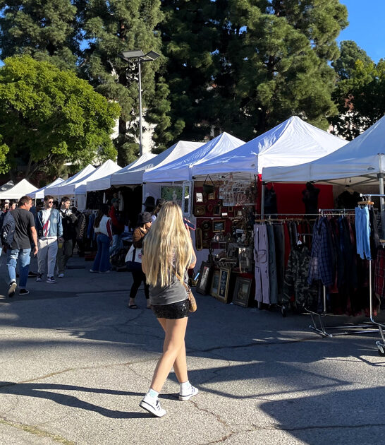 california affordable shopping market ftr