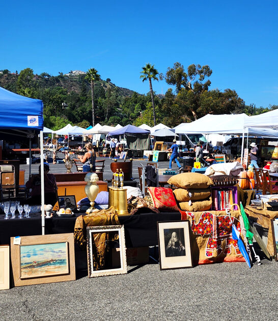 california bargain market haul ftr