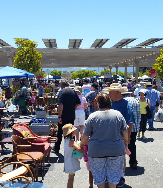 california bargain shopping spot ftr