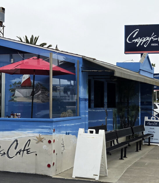 california best omelet ftr