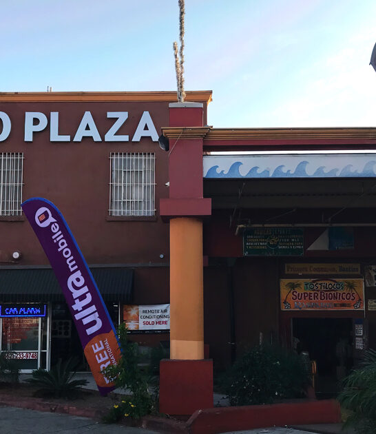 california cheap market paradise ftr