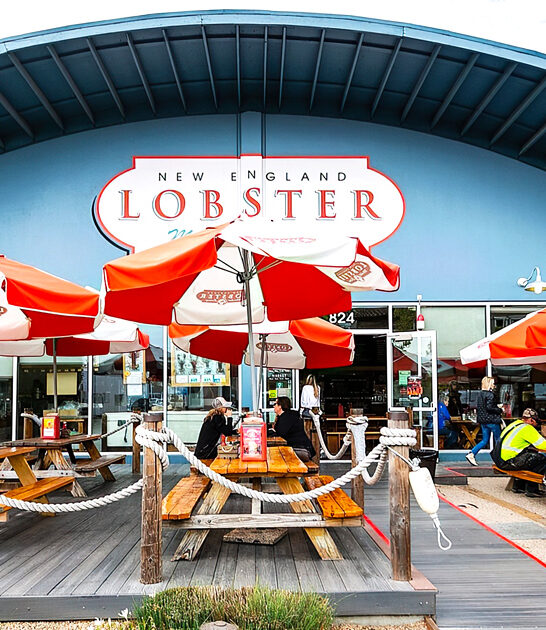 california clam chowder best ftr
