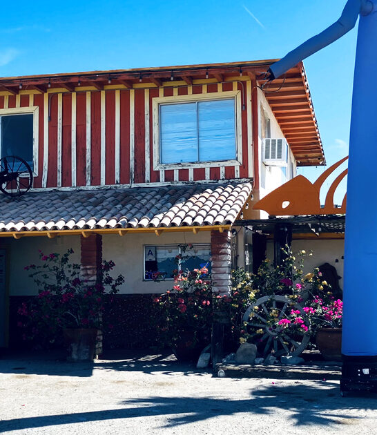 california deliciots fish chips ftr