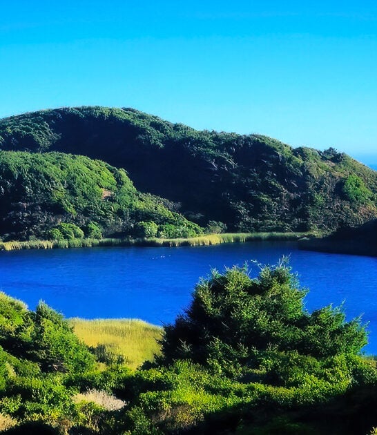 california dreamy postcard town ftr