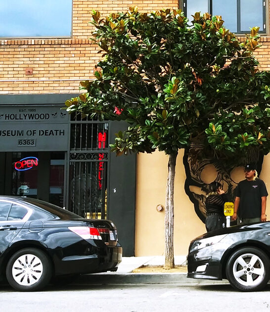 california fascinating macabre museum ftr